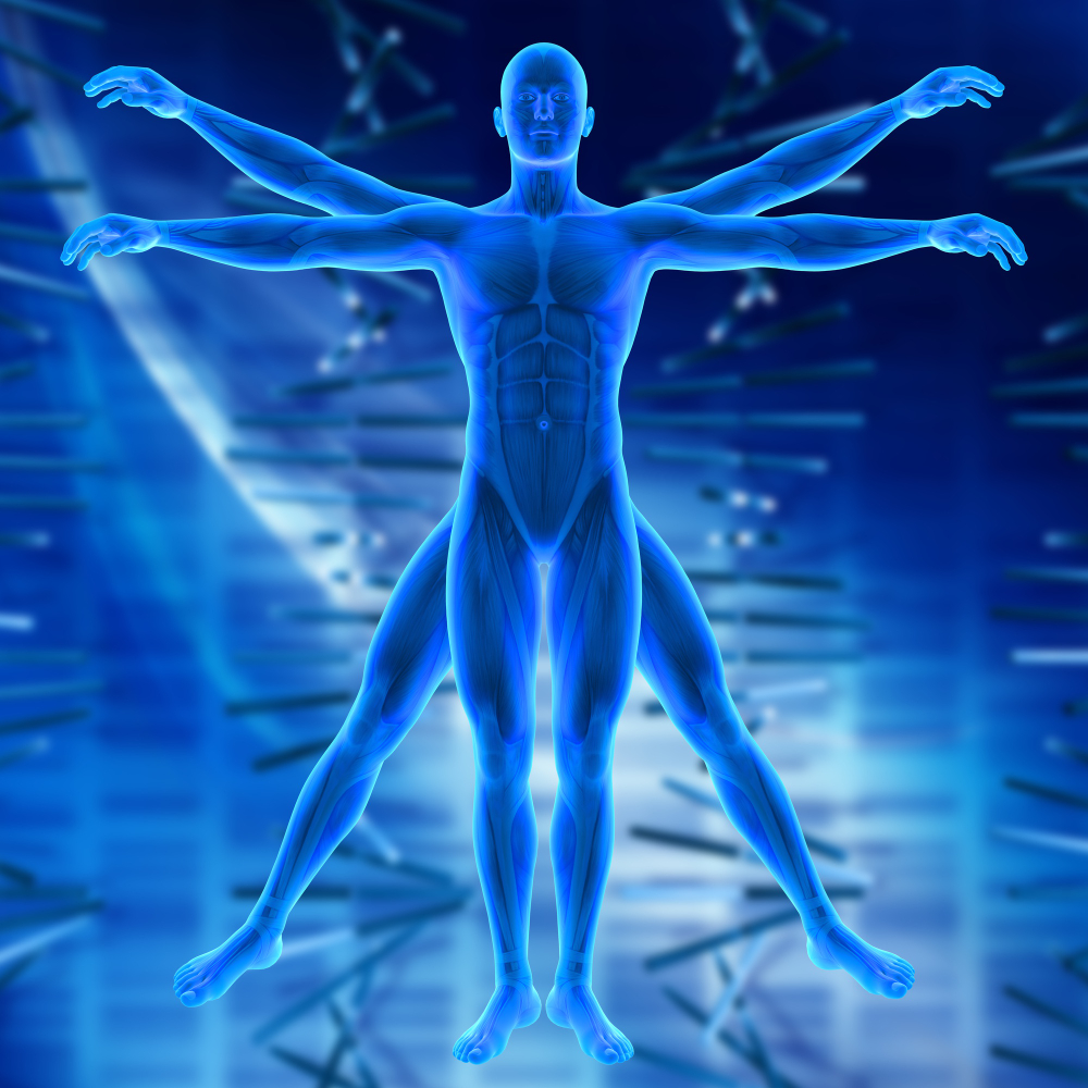 Protected: FROM SCRATCH → 12. Human body - ABC English Levels